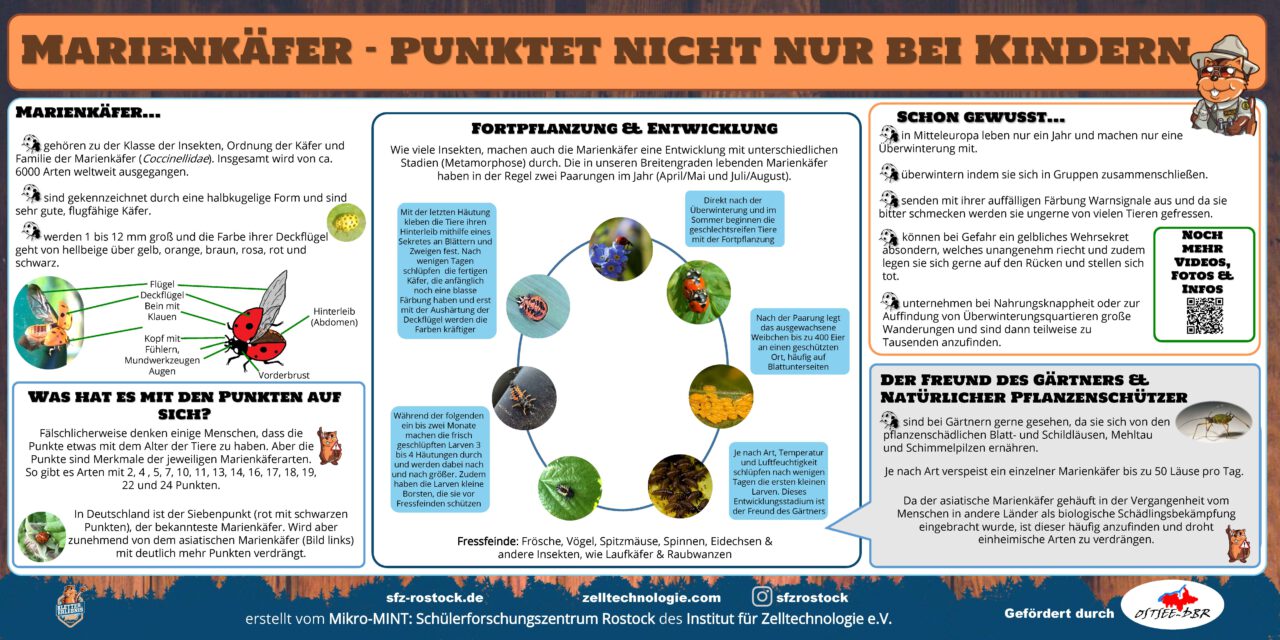 Natur- und Erlebniszentrum Schwaan (NEO) | MikroMINT