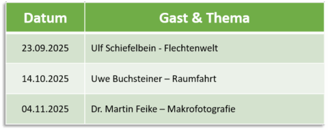 Die Durchblicker | MikroMINT
